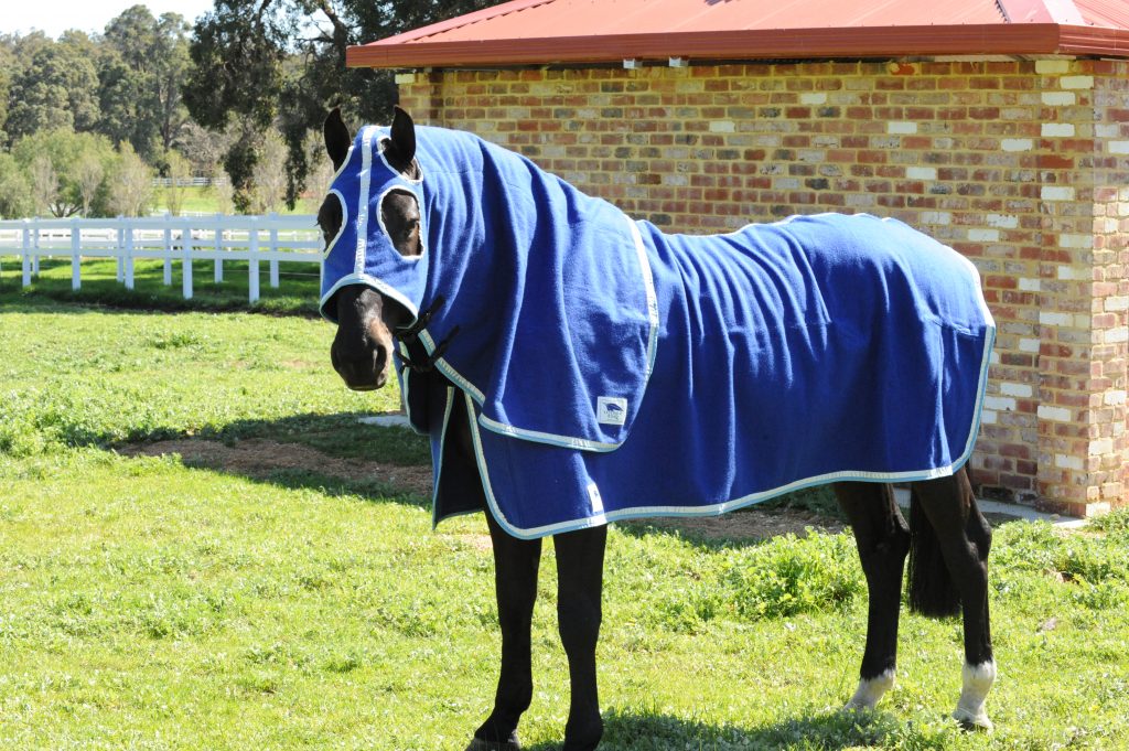 Lilydale Road | Wool Show Rug